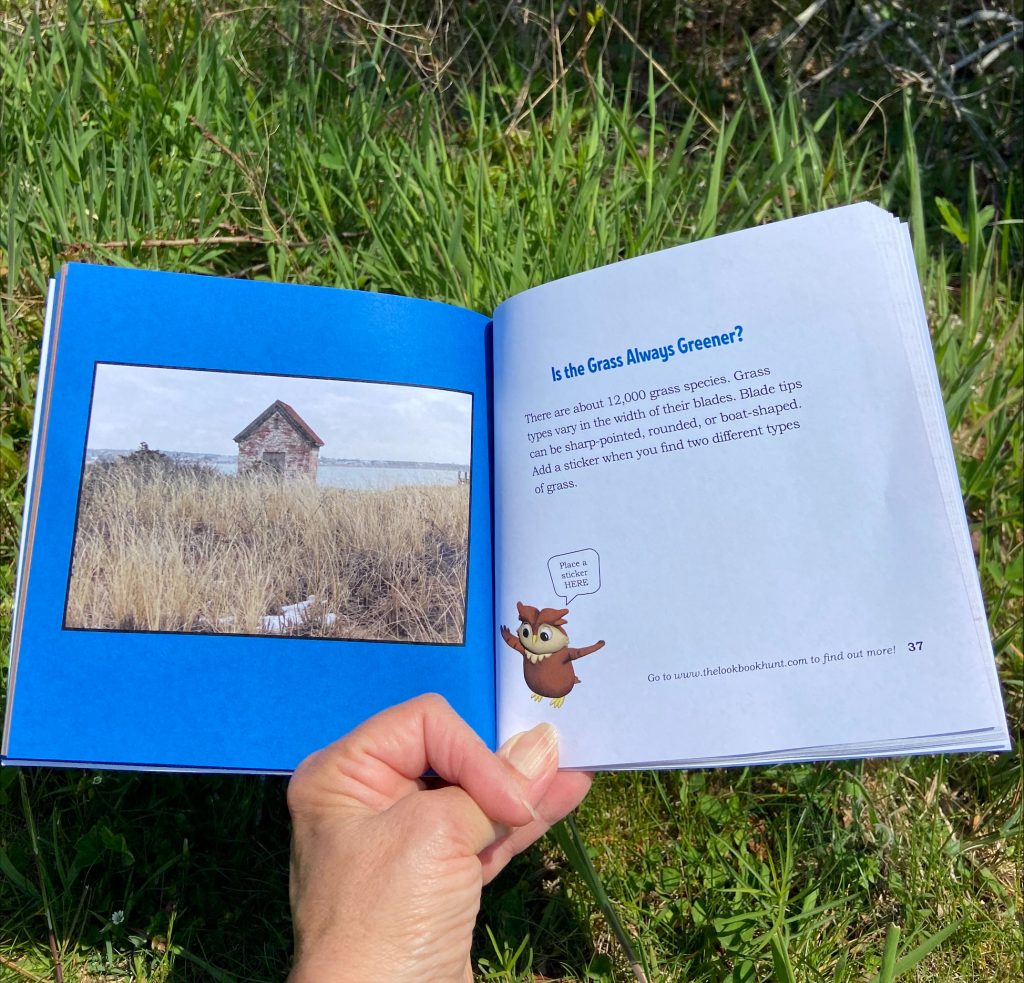 Nature Walk - The LOOK Book