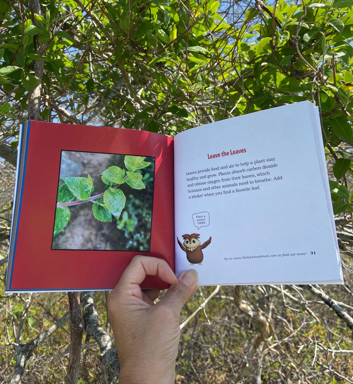 Nature Walk - The LOOK Book