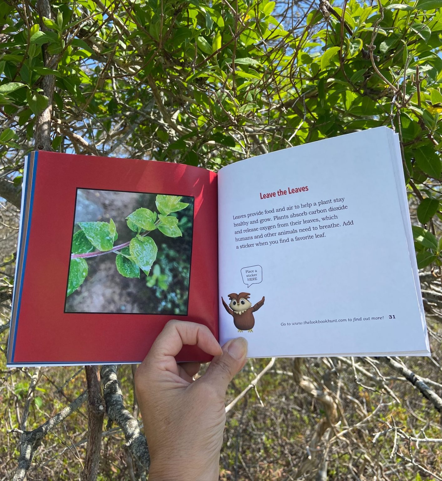 Nature Walk - The LOOK Book